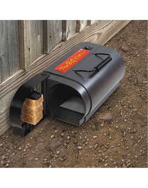 Neo Zap Electronic Rat Killer | Expert Verdict