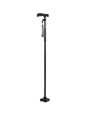 Black | Freestanding Walking Stick | Expert Verdict