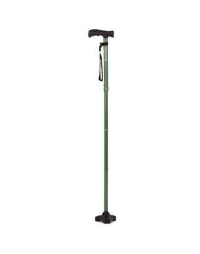 Green | Freestanding Walking Stick | Expert Verdict